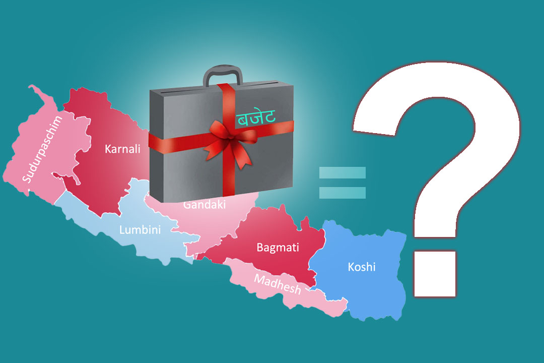 Budget Implementation Challenges in Nepal's Private Sector | News ...