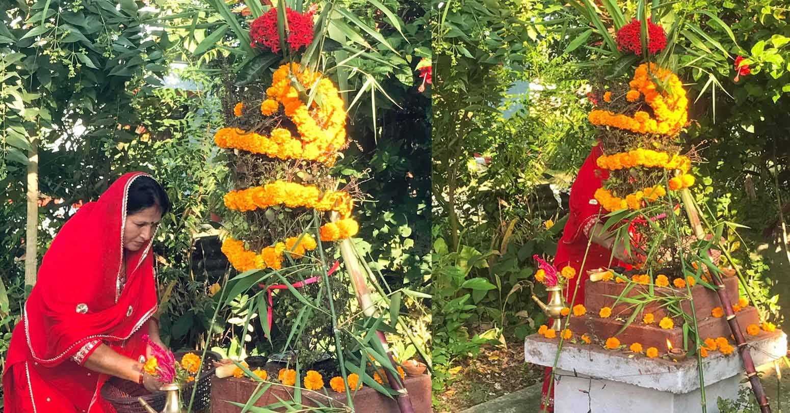 Hari Bodhini Ekadashi Festivities and Tradition Explained | News Detail ...